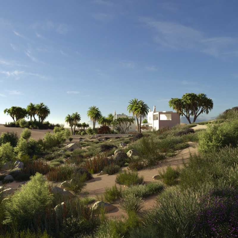 Archmodels Vol. 276 - Desert Plants | Trinity3D