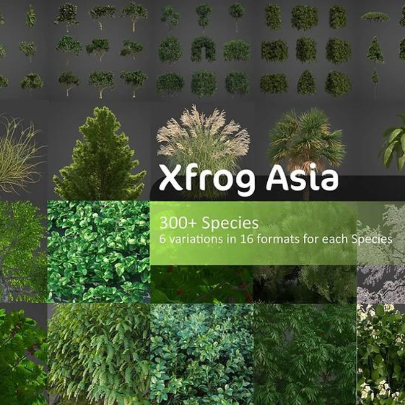 xFrog - Asia | Trinity3D