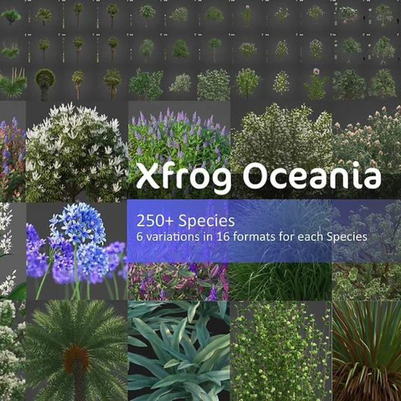 xFrog - Americas | Trinity3D